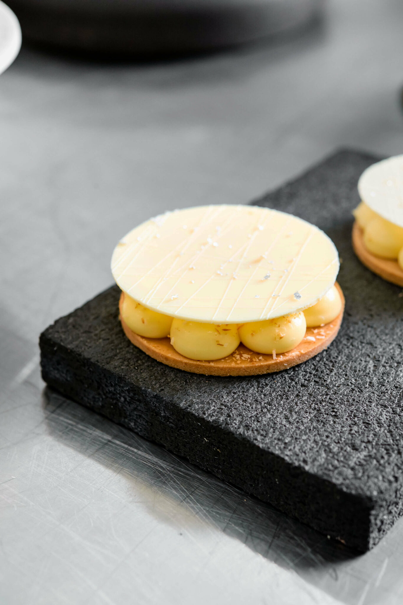 Fish gelatin - Louis François